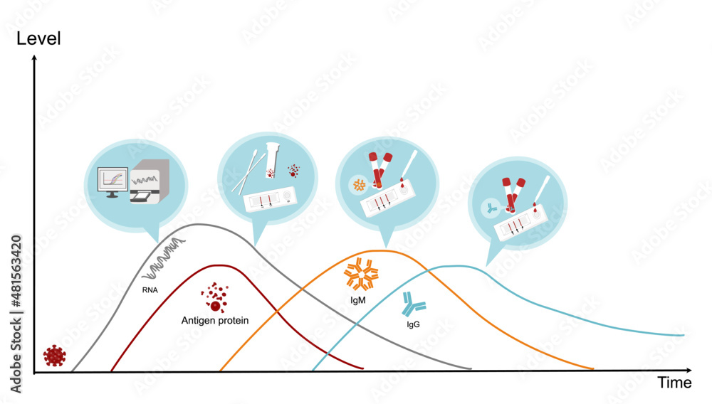 The detection timeline graph of each targets (RNA virus, Antigen ...
