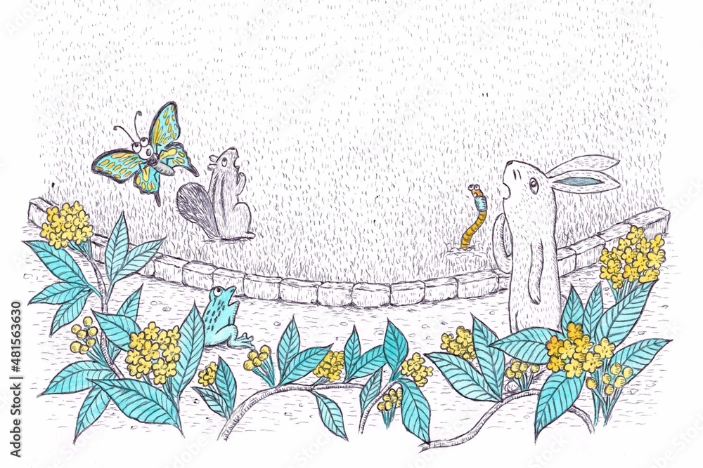 Animals looking up at the sky, Illustration, Butterfly, Squirrel ...