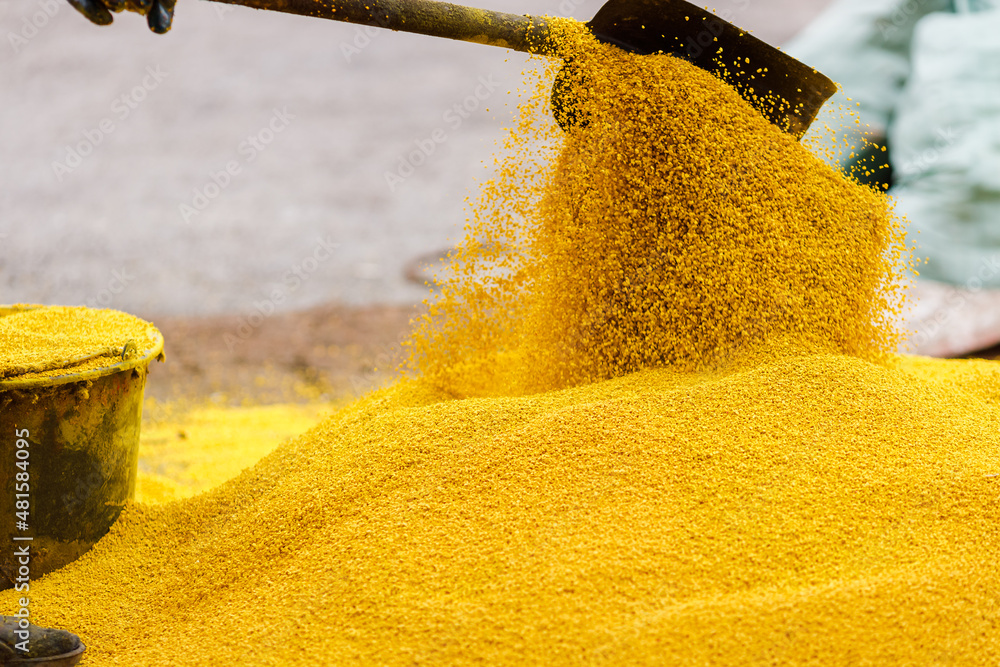 EPDM rubber granules. A worker stirs yellow rubber mulch with a shovel ...
