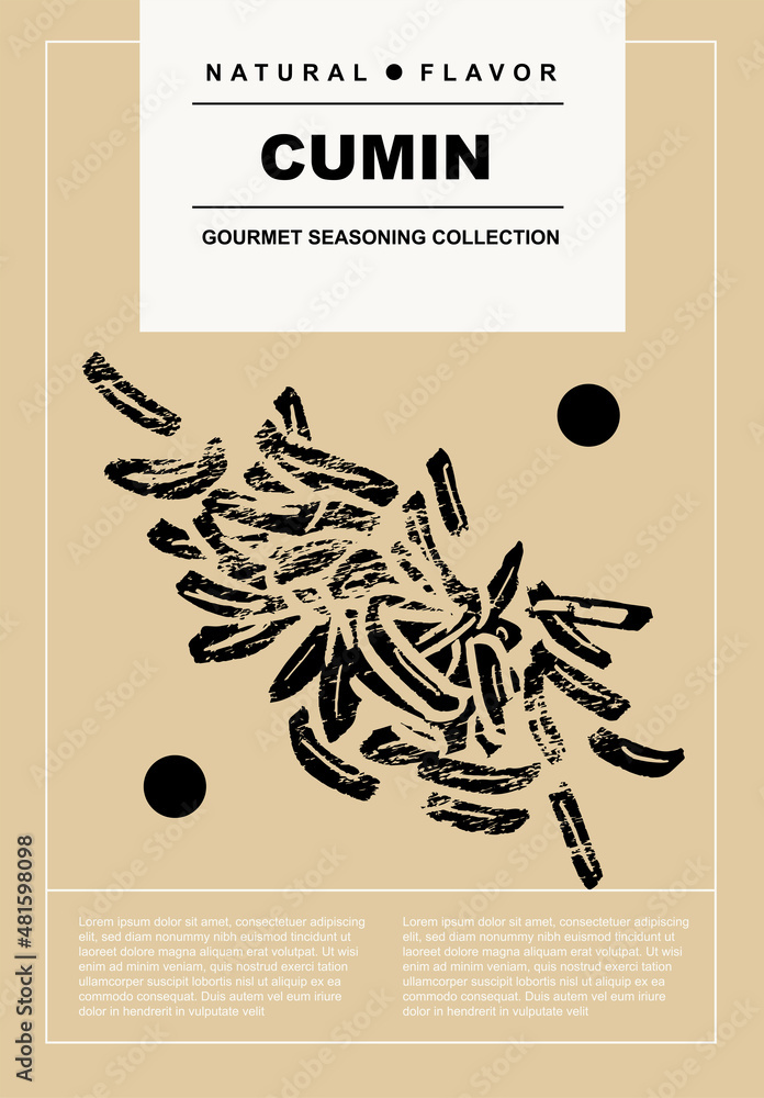 Cumin. Set of posters of spices, herbs, organic product in a abstract ...