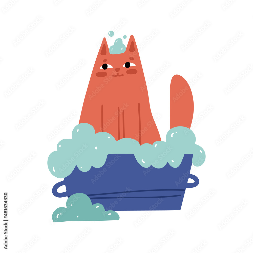 Happy ginger cat sits in a bath with soapy foam. Washing at home or ...