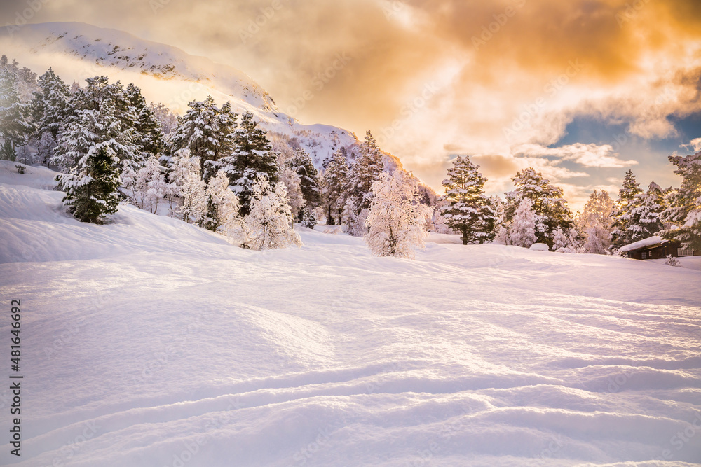 Beautiful Snow Landscape background during sunrise with fog in the ...