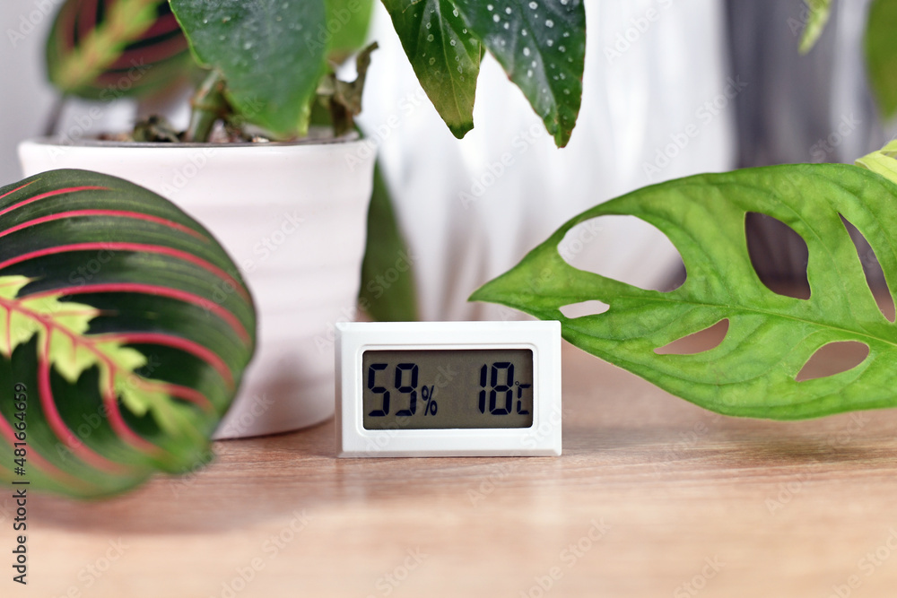 Hygrometer and thermometer device to measure humidity and temperature ...