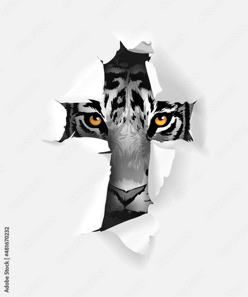 black and white tiger face looking through ripped paper vector ...