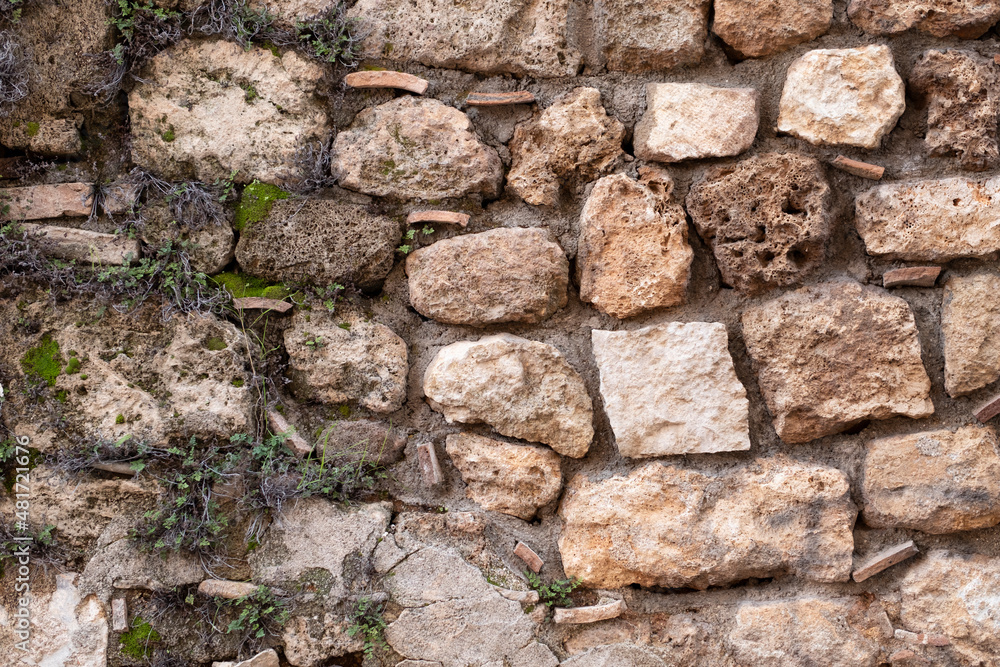 Plants growing on stone wall and its texture Stock Photo | Adobe Stock