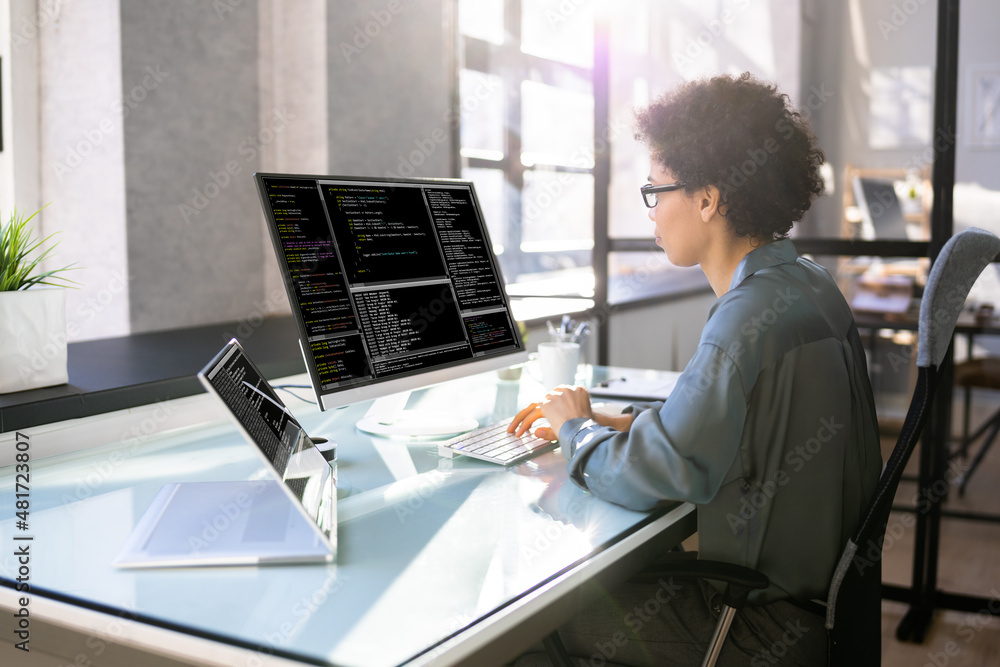 Female Web Programmer Coding On Computer Stock Photo | Adobe Stock