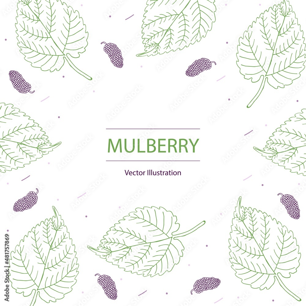 Art & Illustration, Mulberry leaf and fruit hand drawing background ...