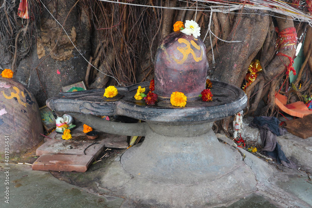 Shiva Lingam under a banyan tree in India. Altar of Lord Shiva in ...