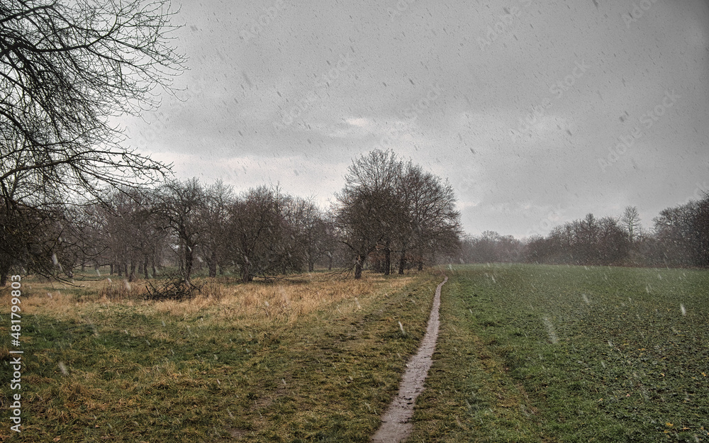 Ein überraschender Schneeschauer mit Graupel verwandelt den Park in ...