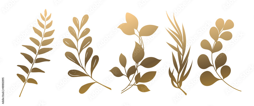 Set of beautiful gold leaves plants, leaves, plant design. Vector ...