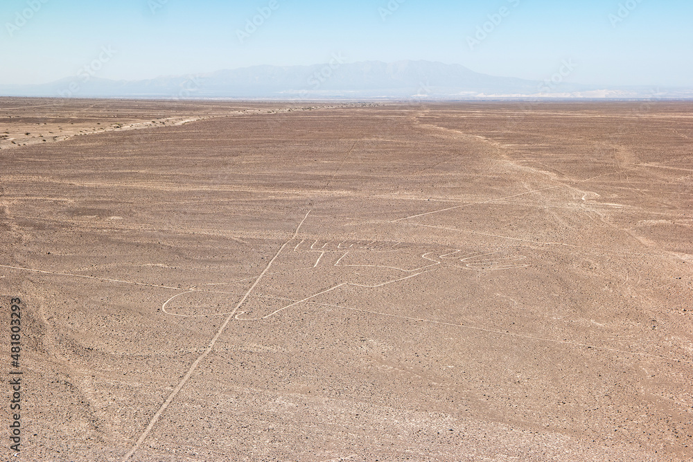Nazca Lines - group of very large geoglyphs made in the soil of the ...