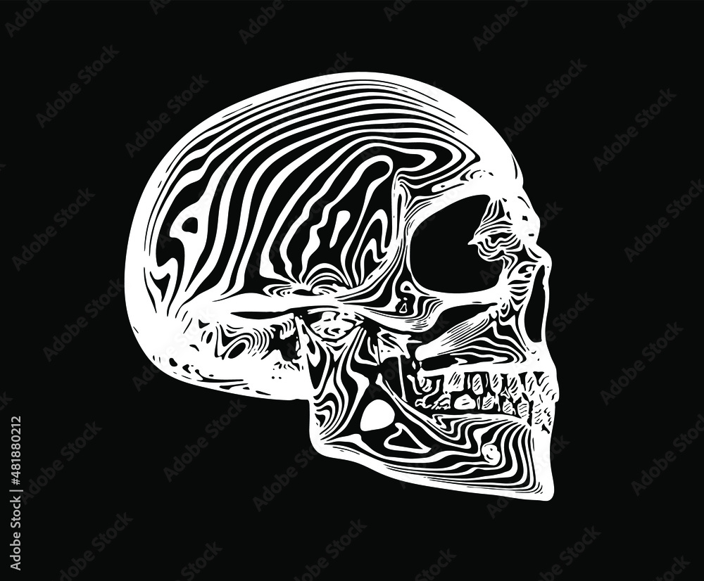 Vector white line skull on black background with white water ripple ...