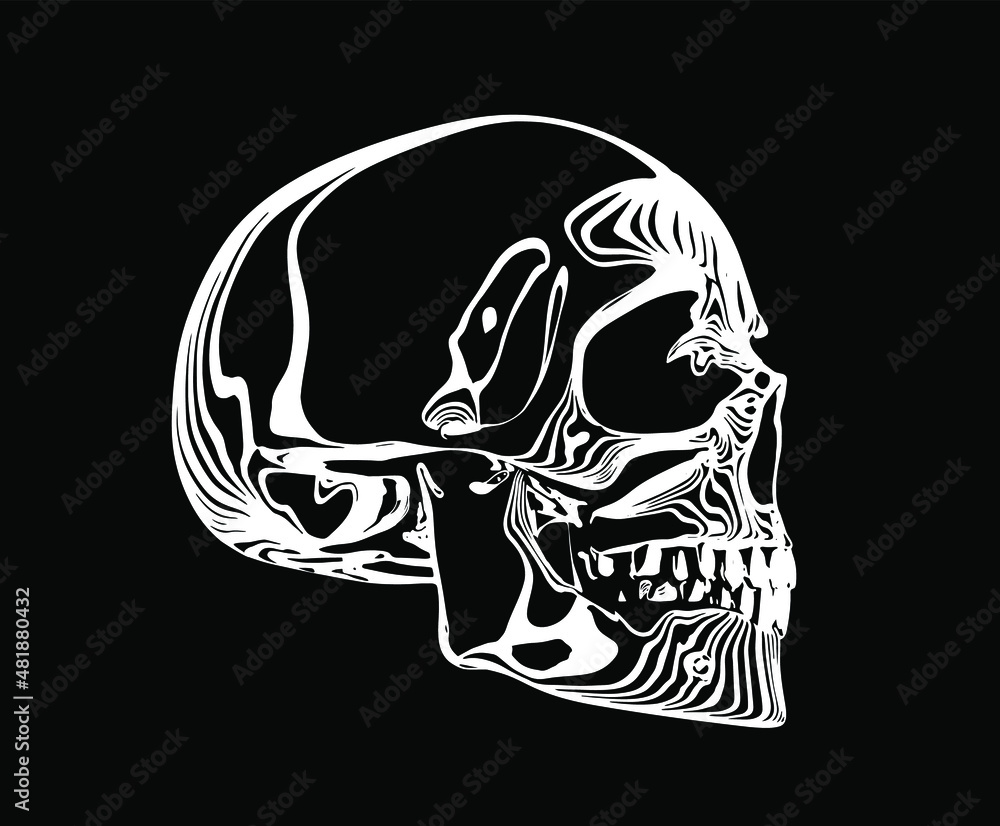 Vector white line skull on black background with white water ripple ...