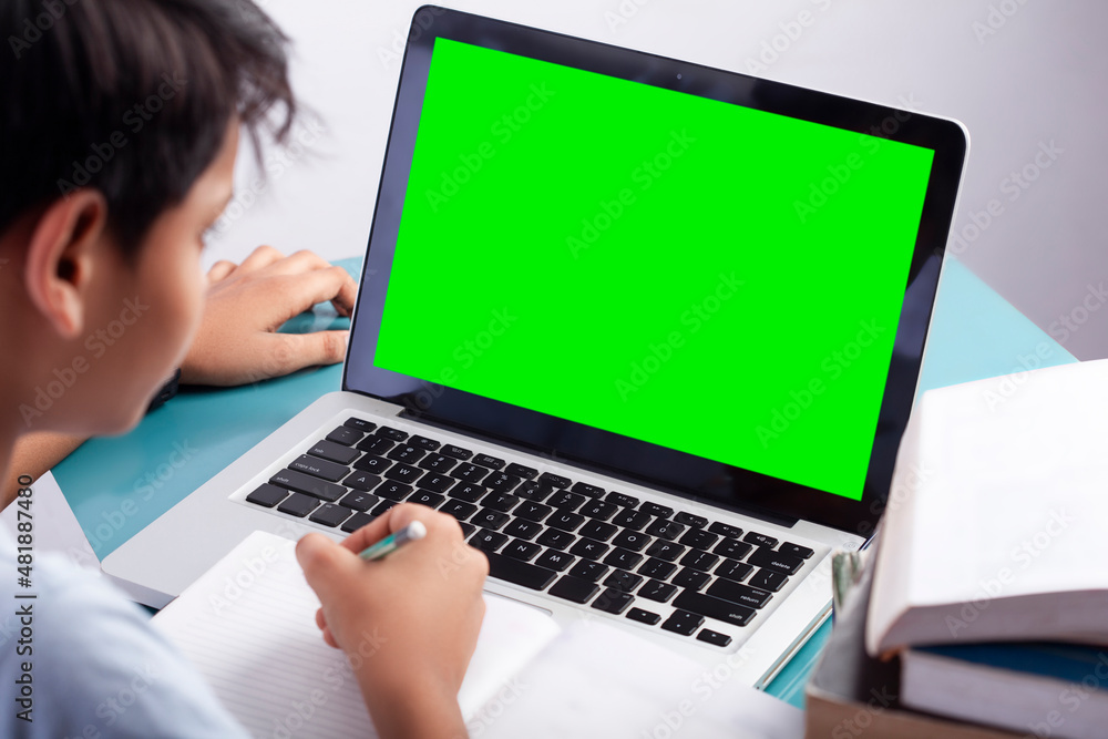 school boy with green screen on laptop studying online class Stock ...