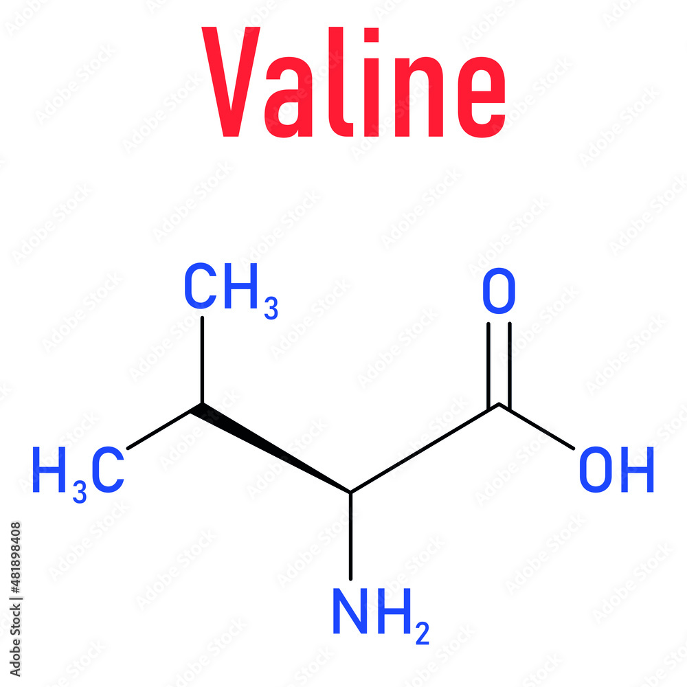Glutamic Acid And Valine