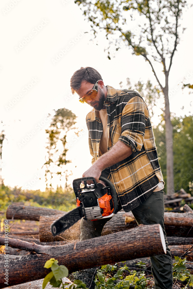 bearded caucasian Worker in casual shirt and goggles cuts a felled tree ...