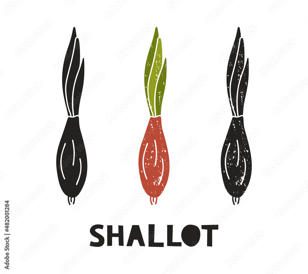Shallot, silhouette icons set with lettering. Imitation of stamp, print ...