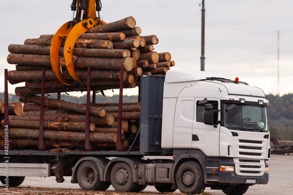 Loading and unloading of vessels on timber terminal Stock Photo | Adobe ...