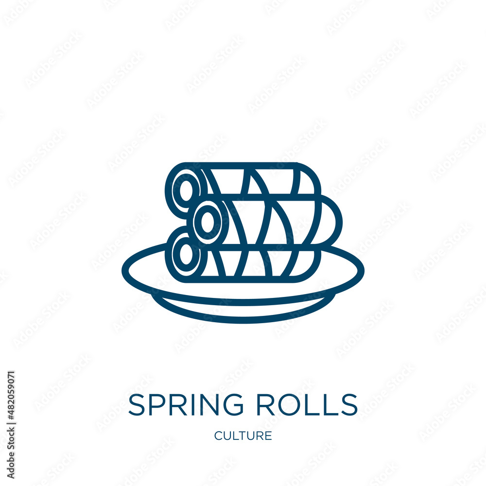 spring rolls icon from culture collection. Thin linear spring rolls ...