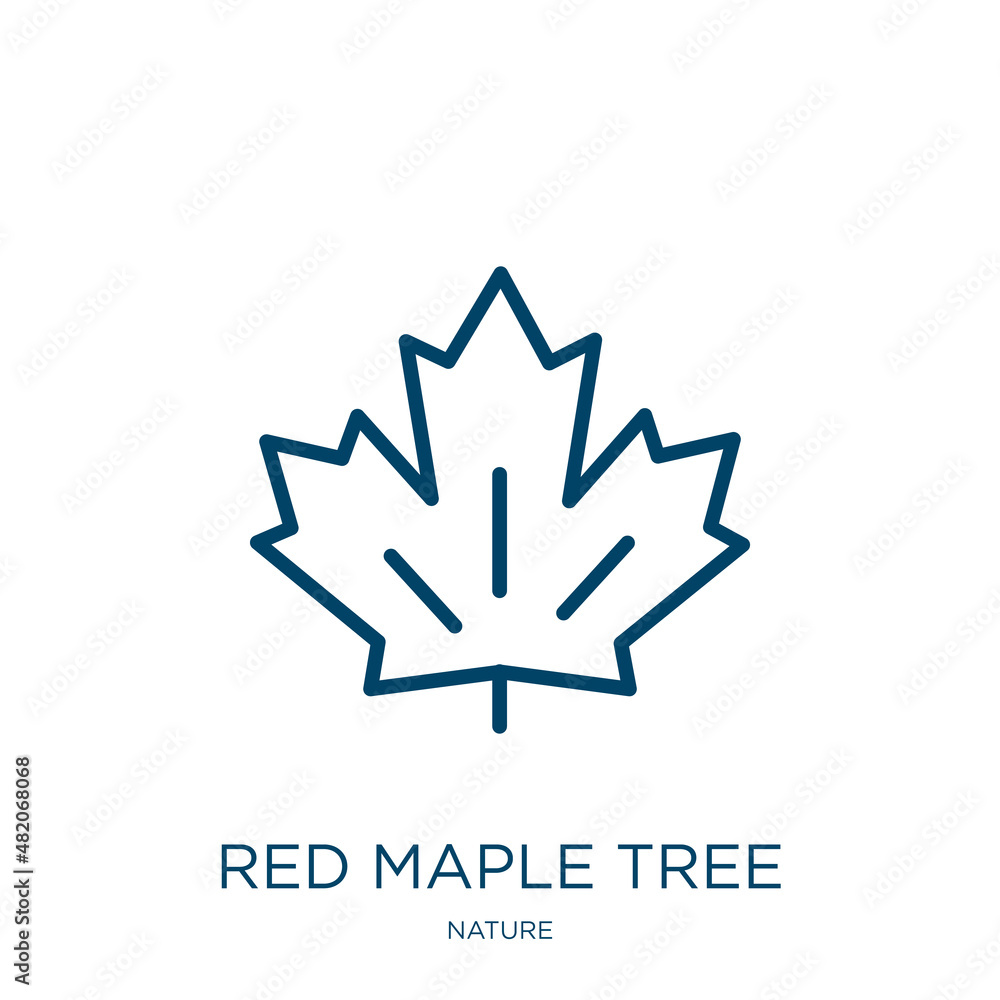 red maple tree icon from nature collection. Thin linear red maple tree ...