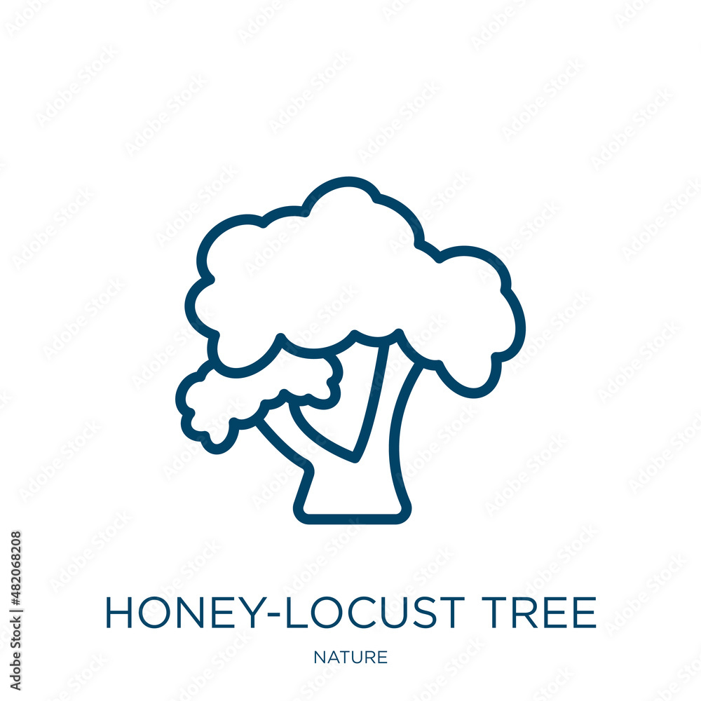 honey-locust tree icon from nature collection. Thin linear honey-locust ...