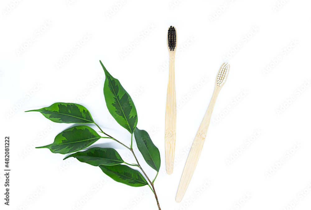 eco-friendly bamboo toothbrushes in black and white and a twig with ...