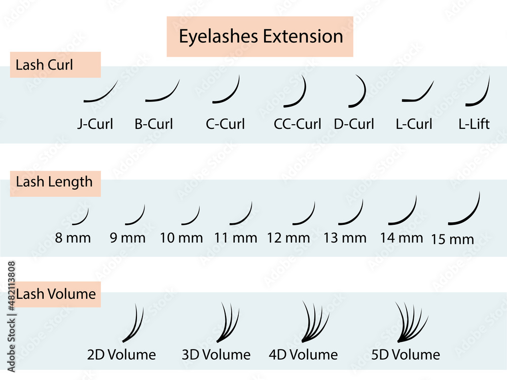 Eyelash extension guide. Infographic vector illustration. Training ...
