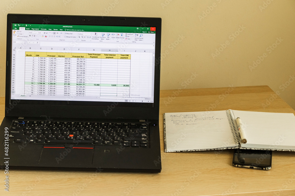 Shot of an excel sheet on computer screen showing bank loan ...