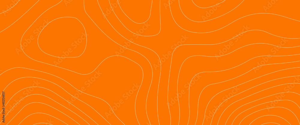 Abstract concept graphic element and geography scheme, Topographic line ...