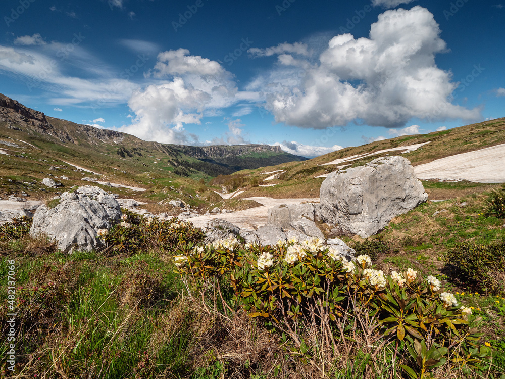 The Caucasus Mountains. Caucasian Nature Reserve. Lago-Naki plateau ...