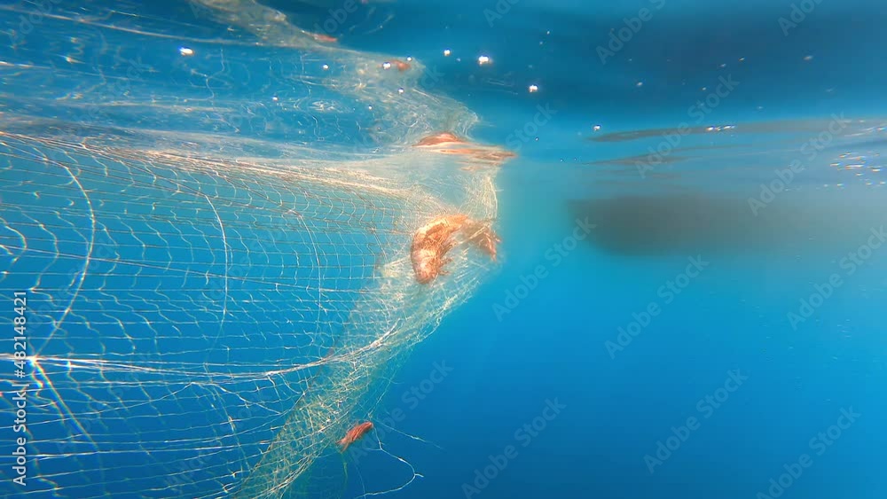 4K.Caught fish in the net hanging from the boat under the sea ...