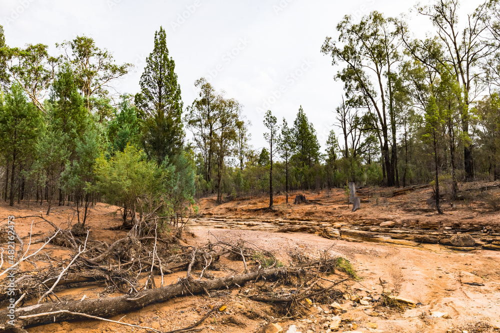 Erosion and washed away soil and exposed tree roots in a dry river bed ...