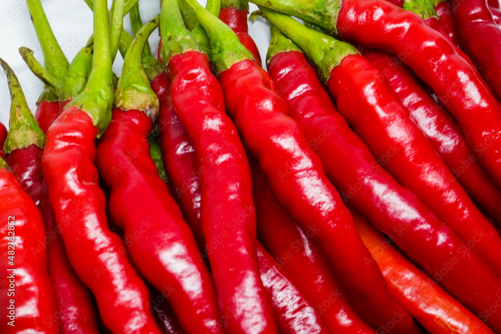 Red Chili Curly is one of the most widely grown and sold red chili ...