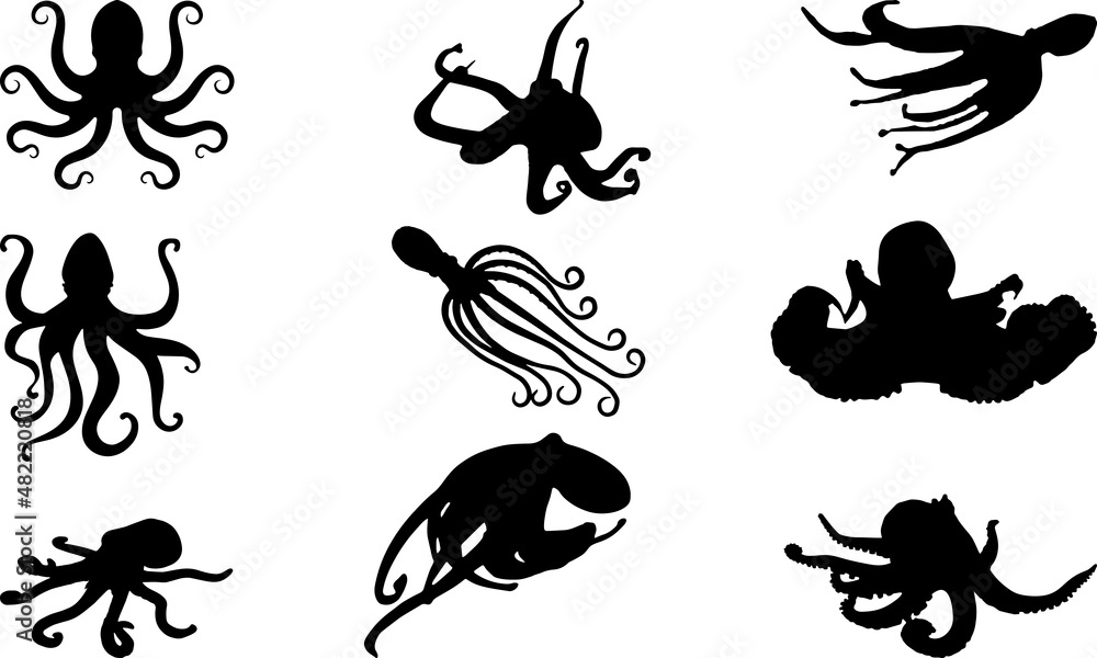 Octopus Silhouettes PNG SVG EPS Octopus Vector Octopus Clipart Stock ...