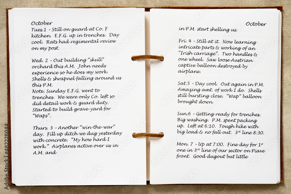 World War One Soldier`s Diary Pages, 25 of 47. Diary entries of a WWI ...