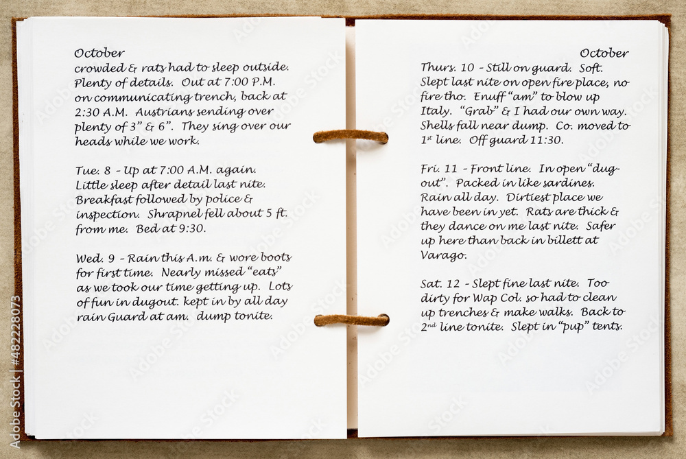 World War One Soldier`s Diary Pages, 26 of 47. Diary entries of a WWI ...