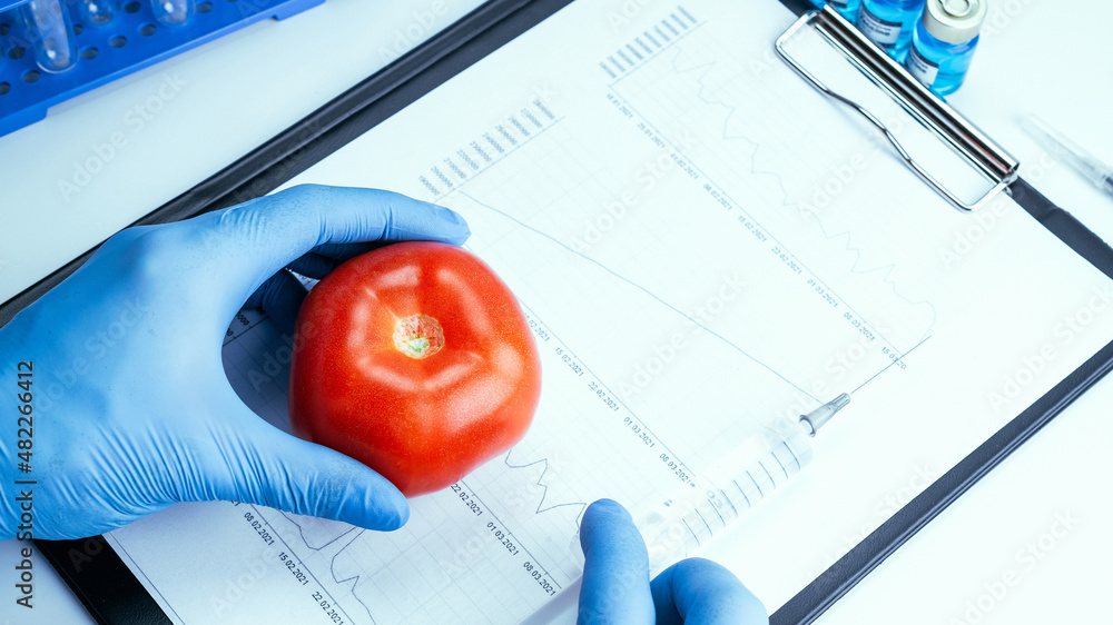 Genetic modification GMO. Scientist injecting liquid from syringe into ...