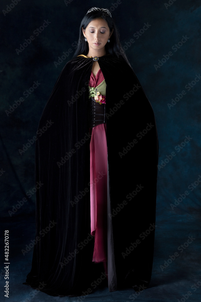 An elf warrior queen wearing a long velvet cloak against a studio ...