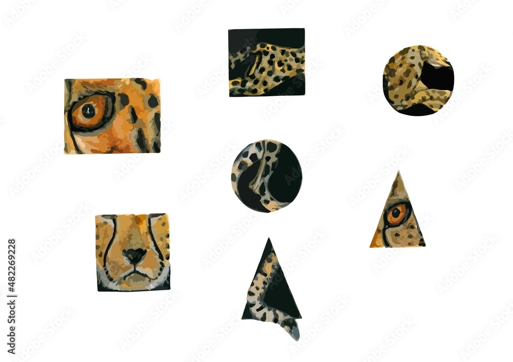 set cheetah wild look, cat's eye, in the form of a square, triangle ...