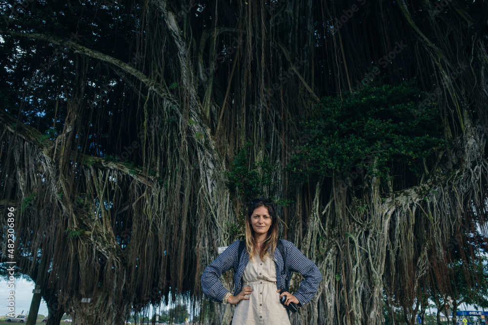 girl on Banyan Drive is a tree-lined street at the shoreline of Hilo ...