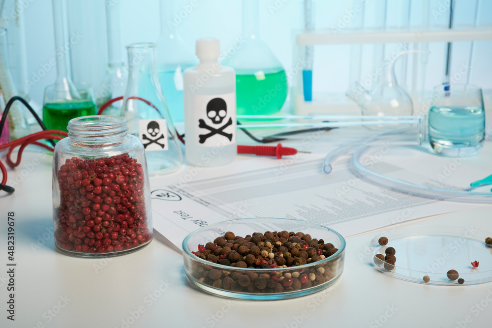 Black and red peppercorns control in a toxic test lab. Photo of black ...