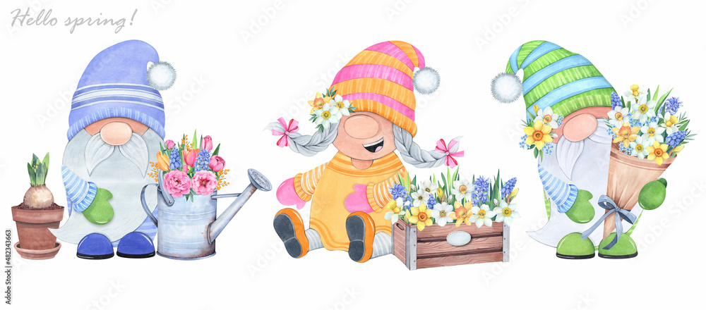Cute garden gnomes with flowers and a watering can on a white ...
