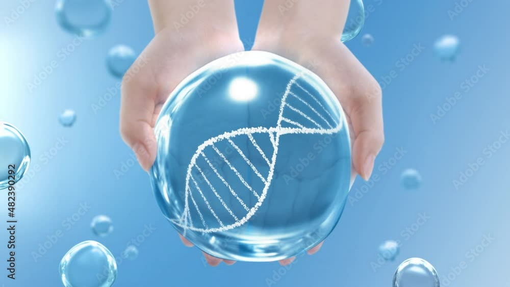 Female hands cupped together holding clean water drop and revolving DNA ...