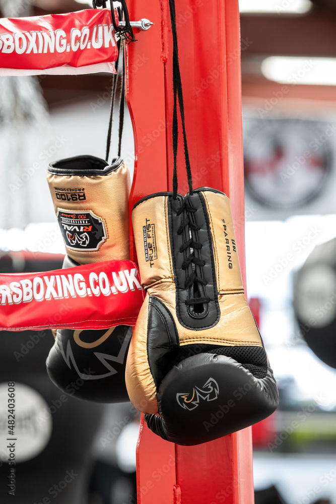 Black and gold professional boxing gloves hang from the corner of a ...