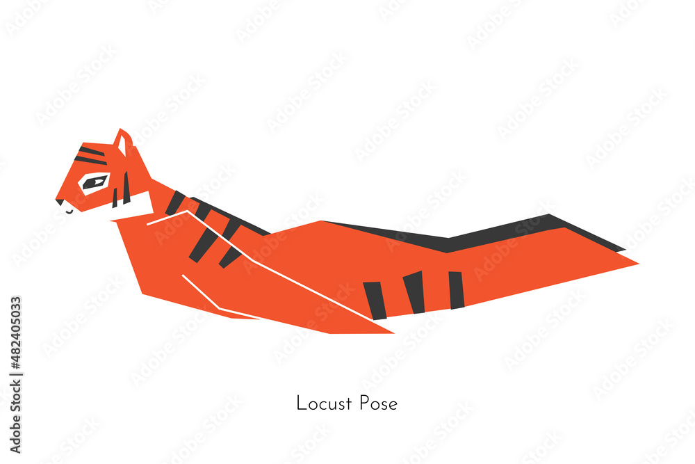 Vector flat concept with flexible Asian tiger doing core yoga. Cartoon ...