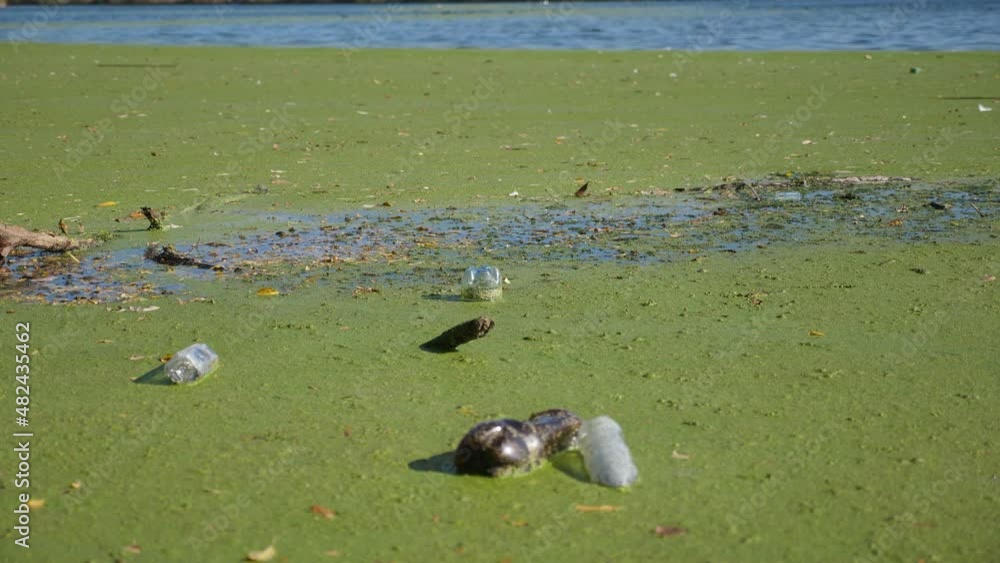 Litter on the lake surface. Water pollution with plastic bottles ...