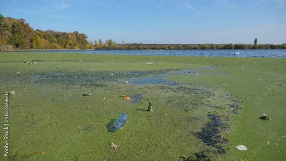 Litter on the lake surface. Water pollution with plastic bottles ...