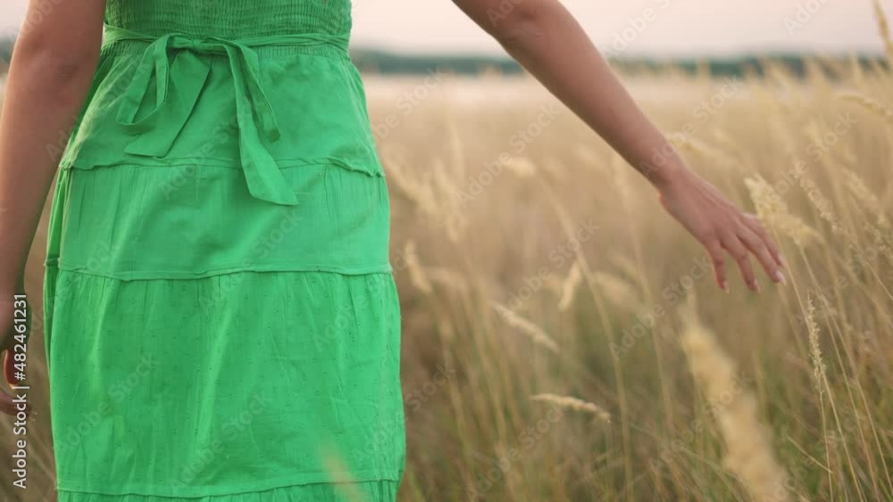 girl hand close-up in the field in nature the park. freedom clean air ...
