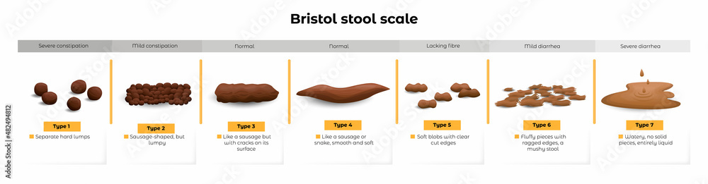 Vector isolated cartoon illustration on white of a set different types ...