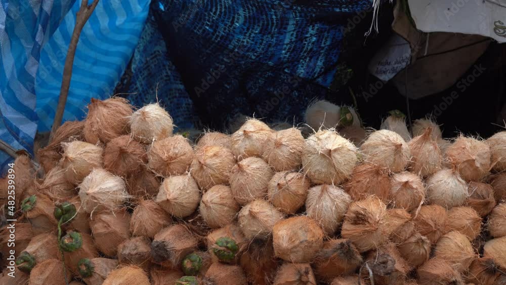 Stack Of Peeled Coconut Used For The Oil Production In Thailand ...